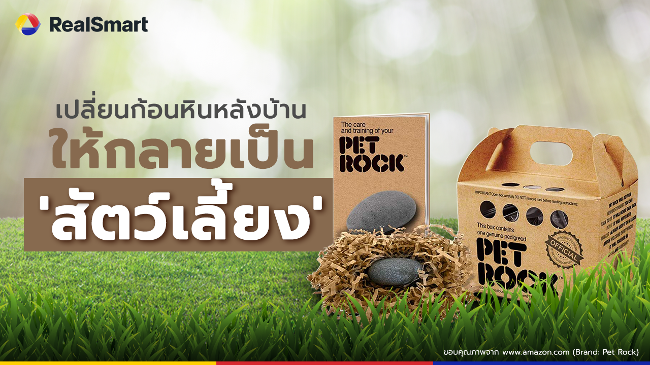 Pet Rock เปลี่ยนก้อนหินหลังบ้าน ให้กลายเป็น ‘สัตว์เลี้ยง’ - RealSmart