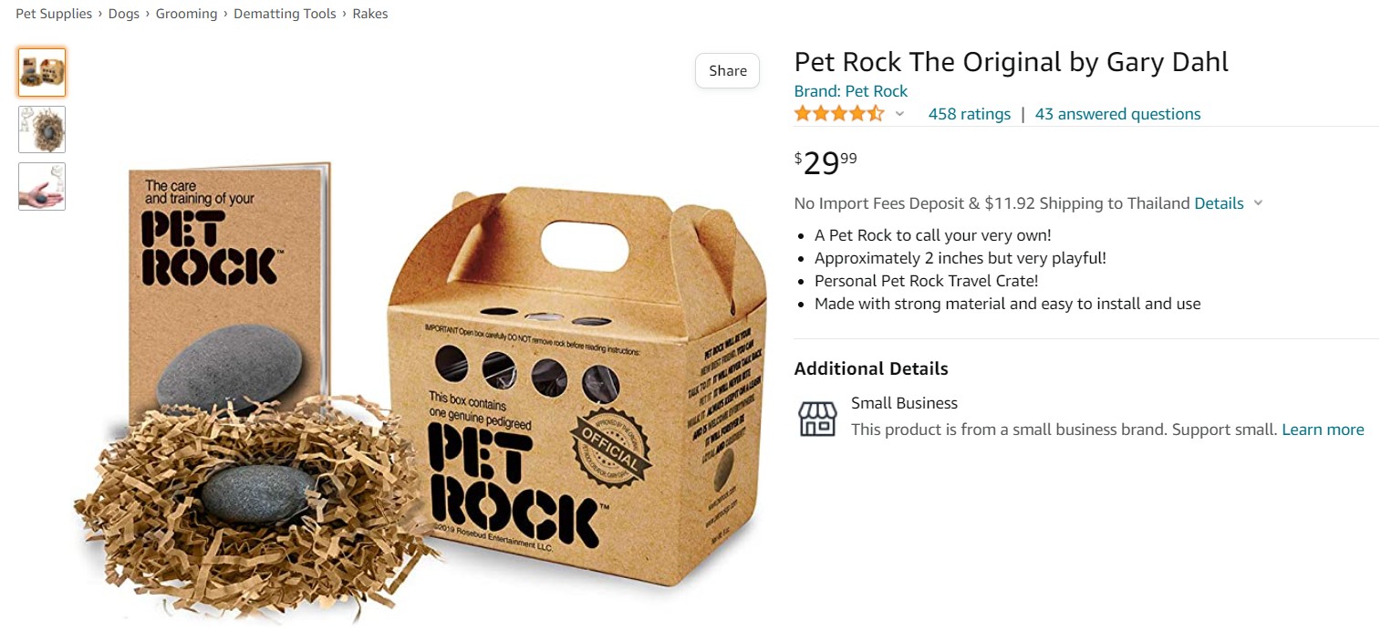 Pet Rock เปลี่ยนก้อนหินหลังบ้าน ให้กลายเป็น 'สัตว์เลี้ยง' - RealSmart